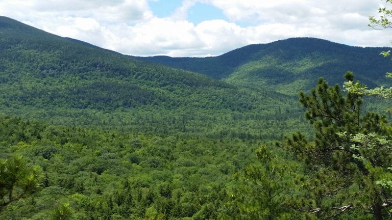 Erin Brenner - Right Touch Editing - State of Digital Publishing